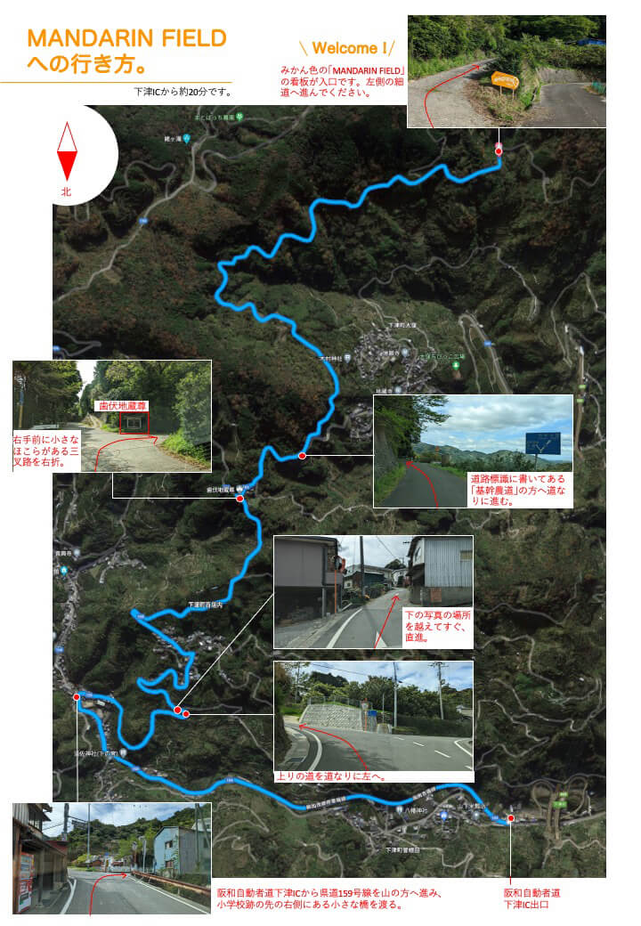 Foundation Camp | Mandarin Field